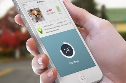 10 Best Pet Tracker GPS: Smart Way to Stay Connected