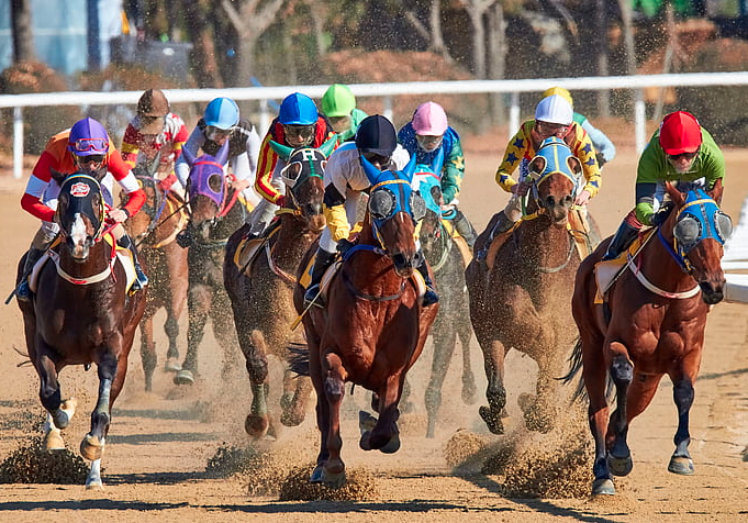 Why Horse Racing Is Like No Other