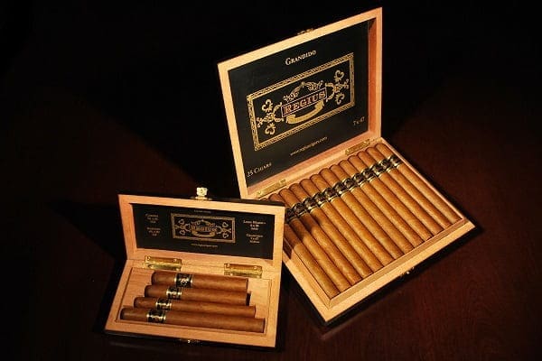 Top 15 Most Expensive Cigars in the World