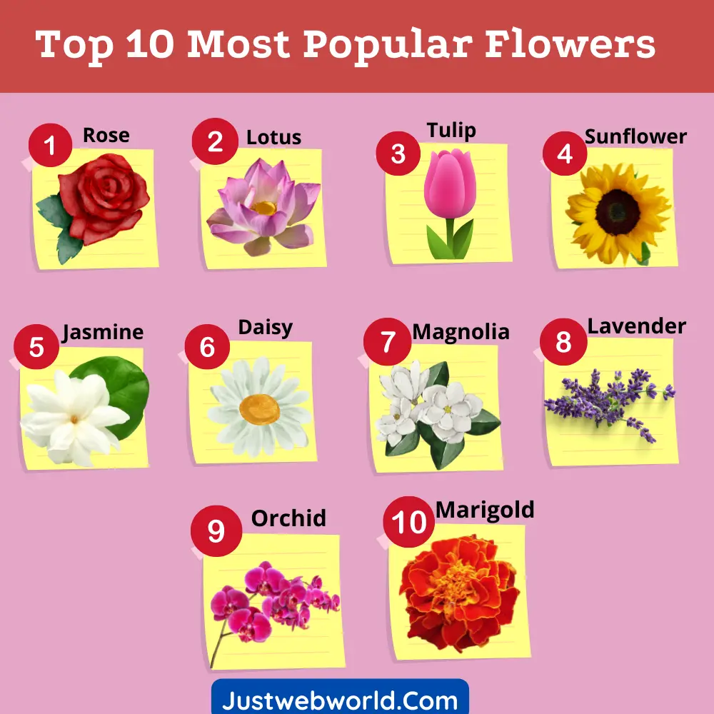100+🌸List of All Flowers Name In English With Pictures