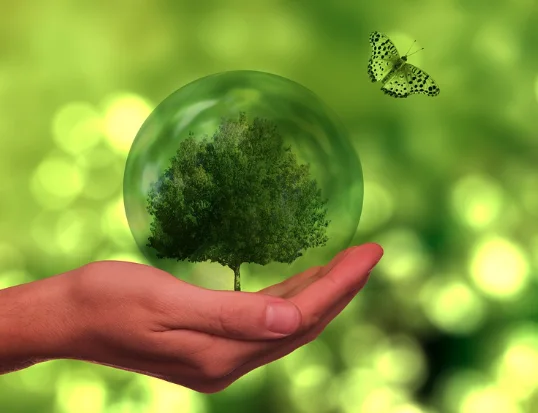 What Should A Sustainability Report Include?