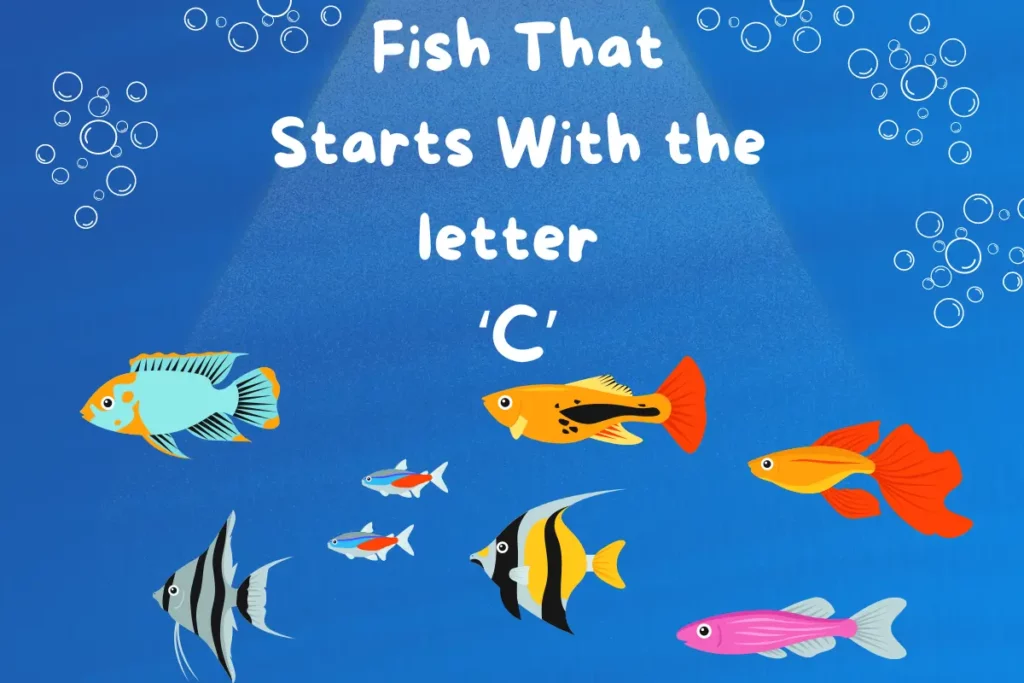The Ultimate Guide to Fish That Start With C: Full List Revealed!