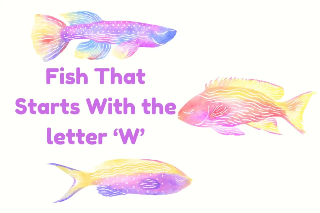 Wで始まる魚たちの不思議な世界: ユニークな種を発見しよう!