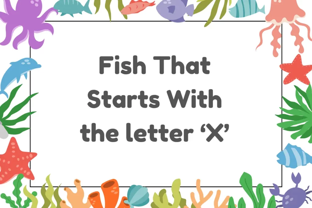 Unveiling the Mysteries of Fish That Start with X: A Complete Guide